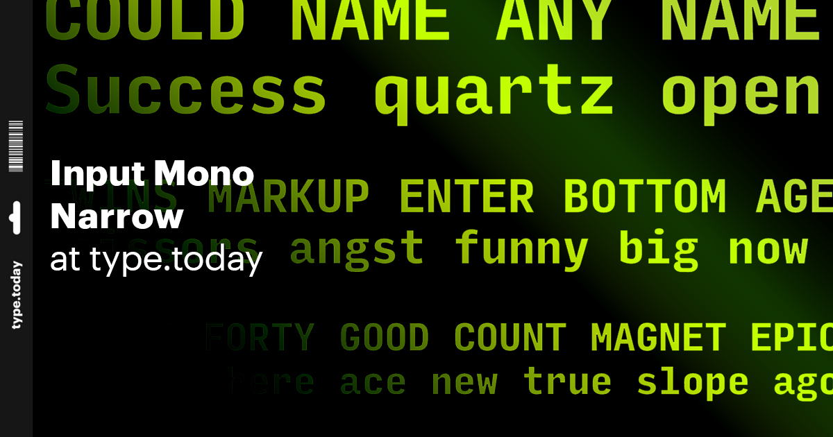 Input Mono Narrow Regular