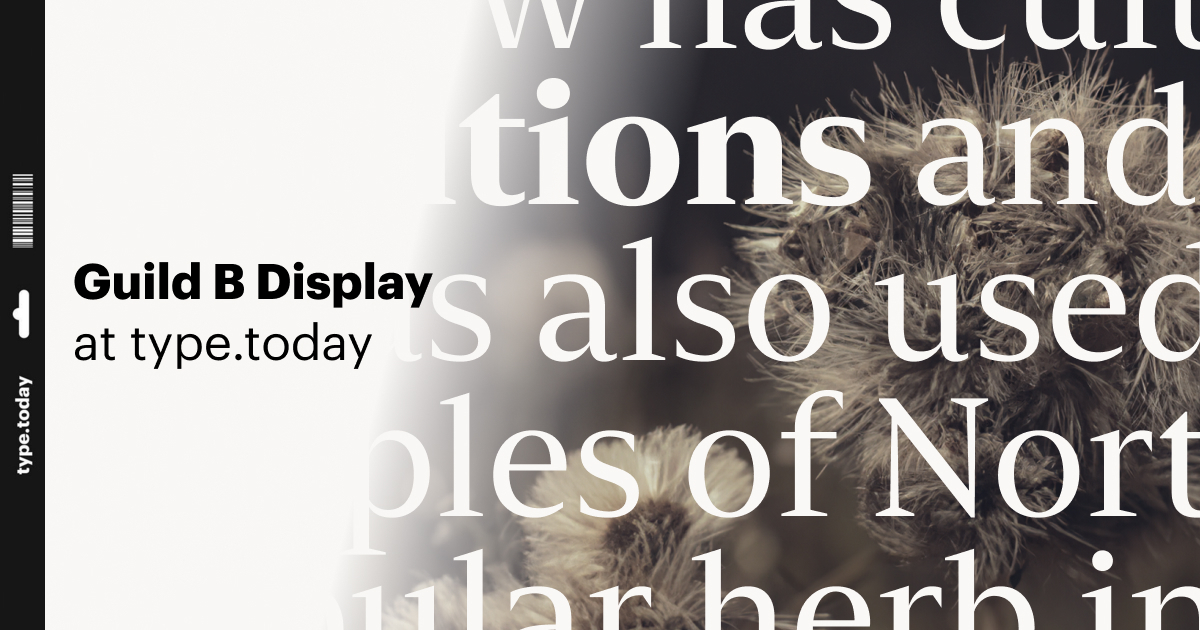 Guild B Display